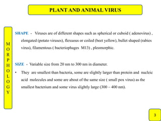 Plant and animal viruse | PPTX