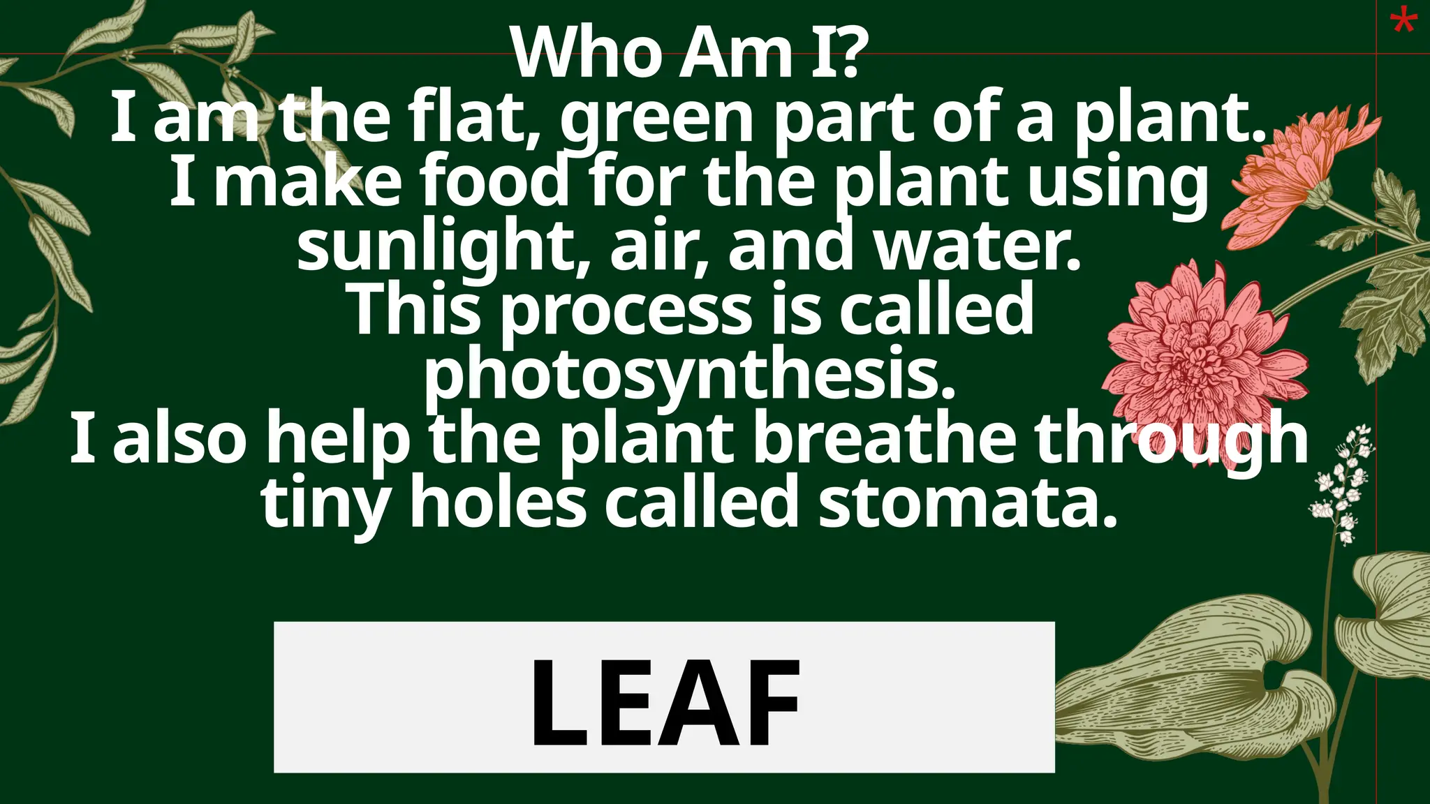 Parts of a plant and the parts of a flower | PPTX