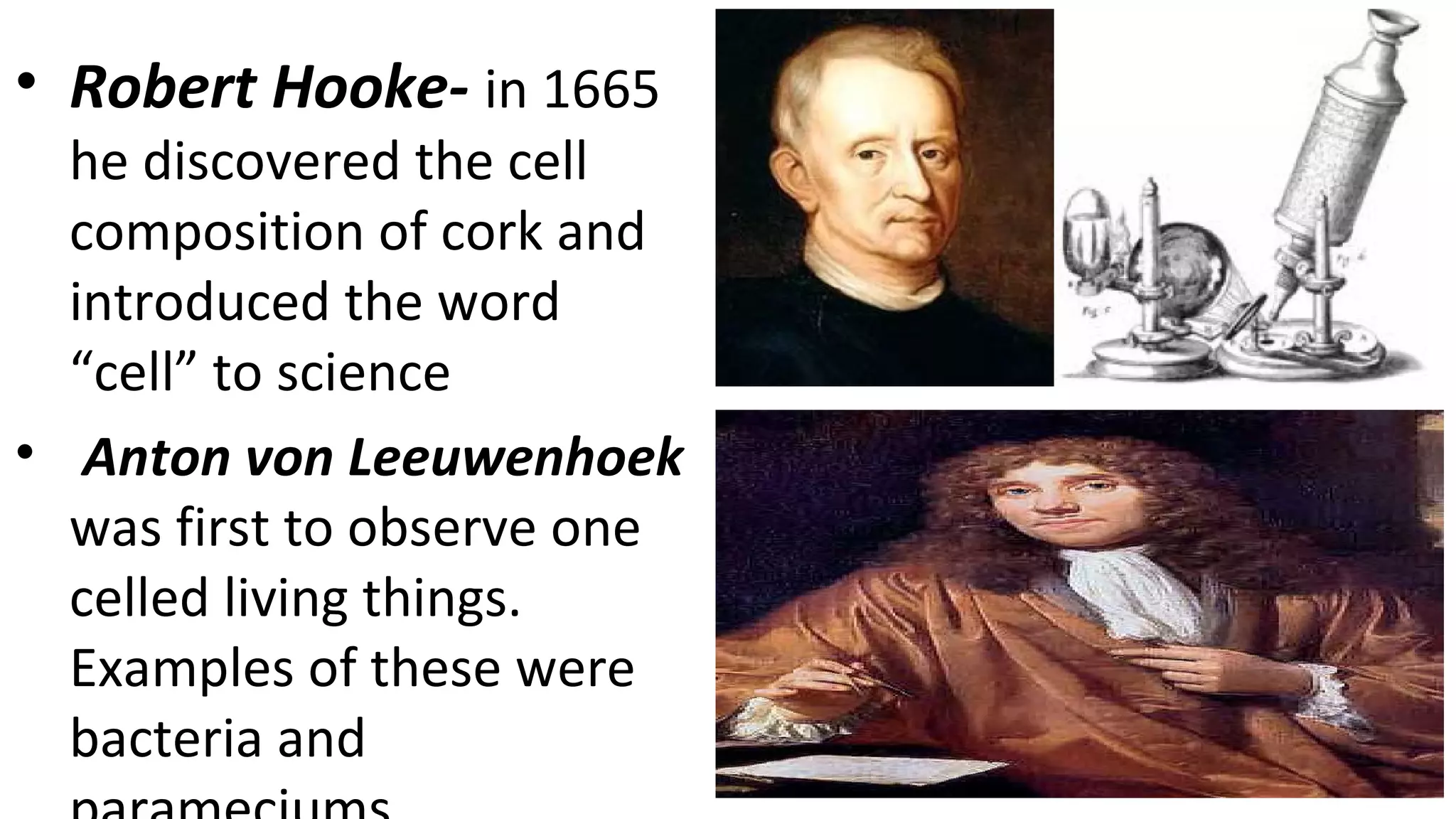 Plant & animal cell | PPT