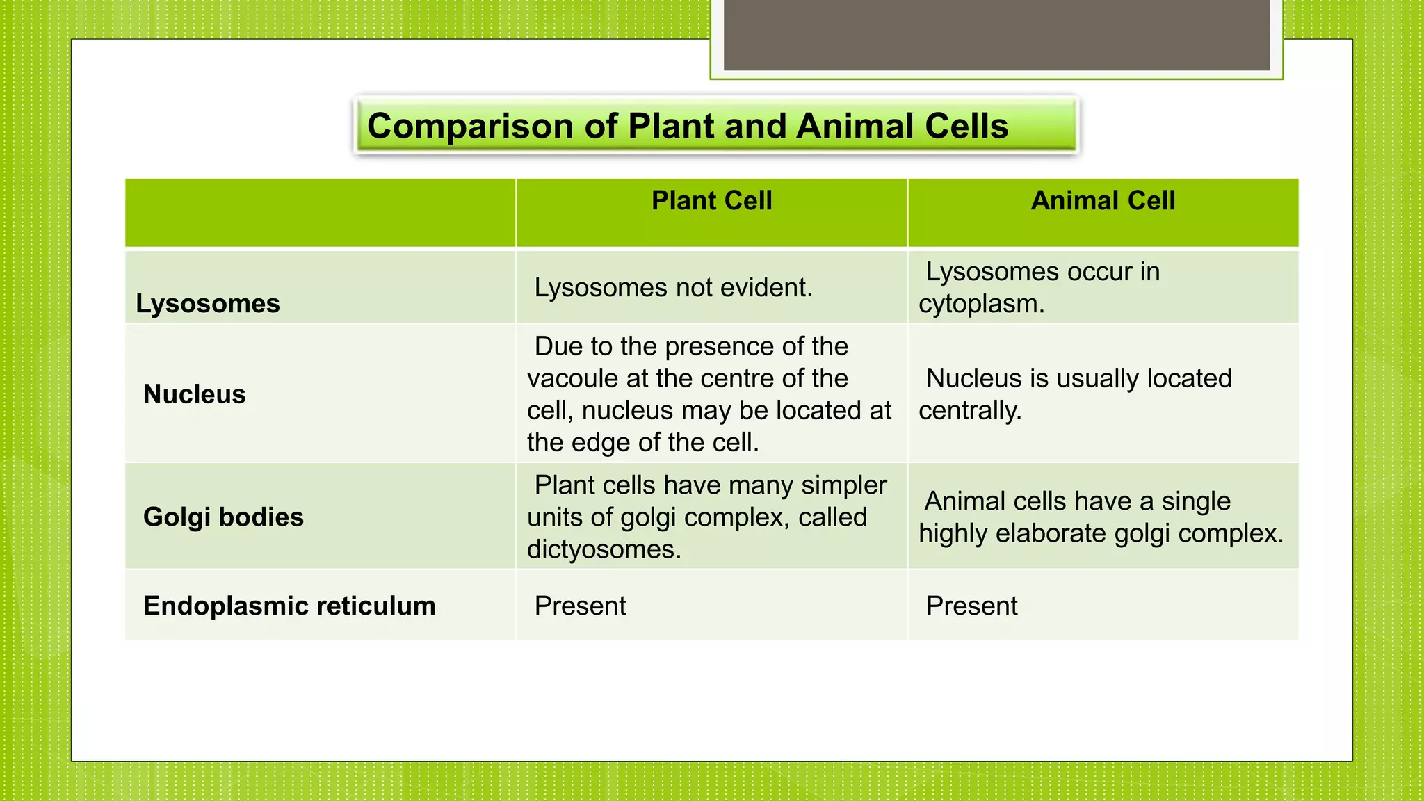 Plant and Animal Cells | PPTX