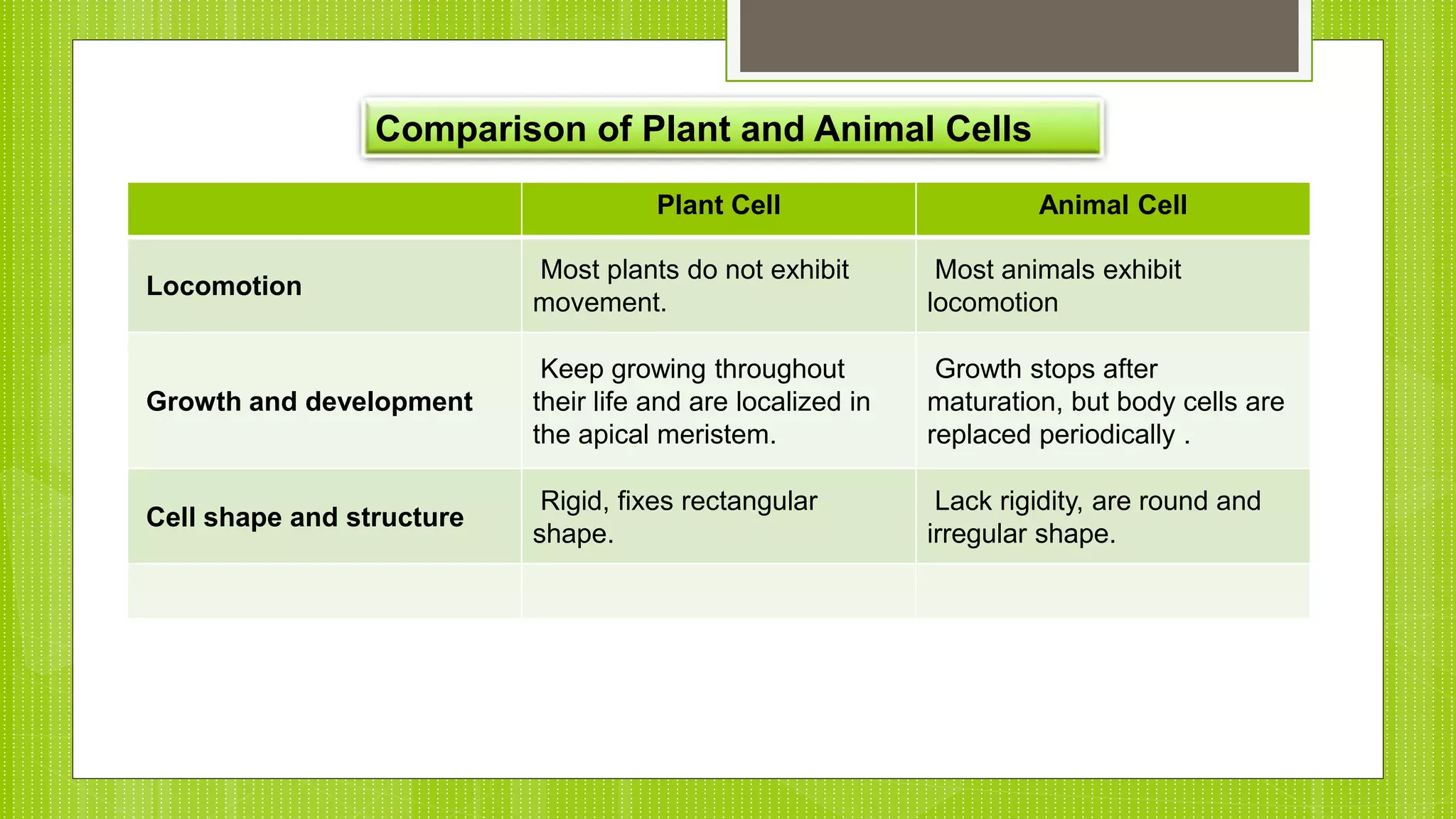 Plant and Animal Cells | PPTX