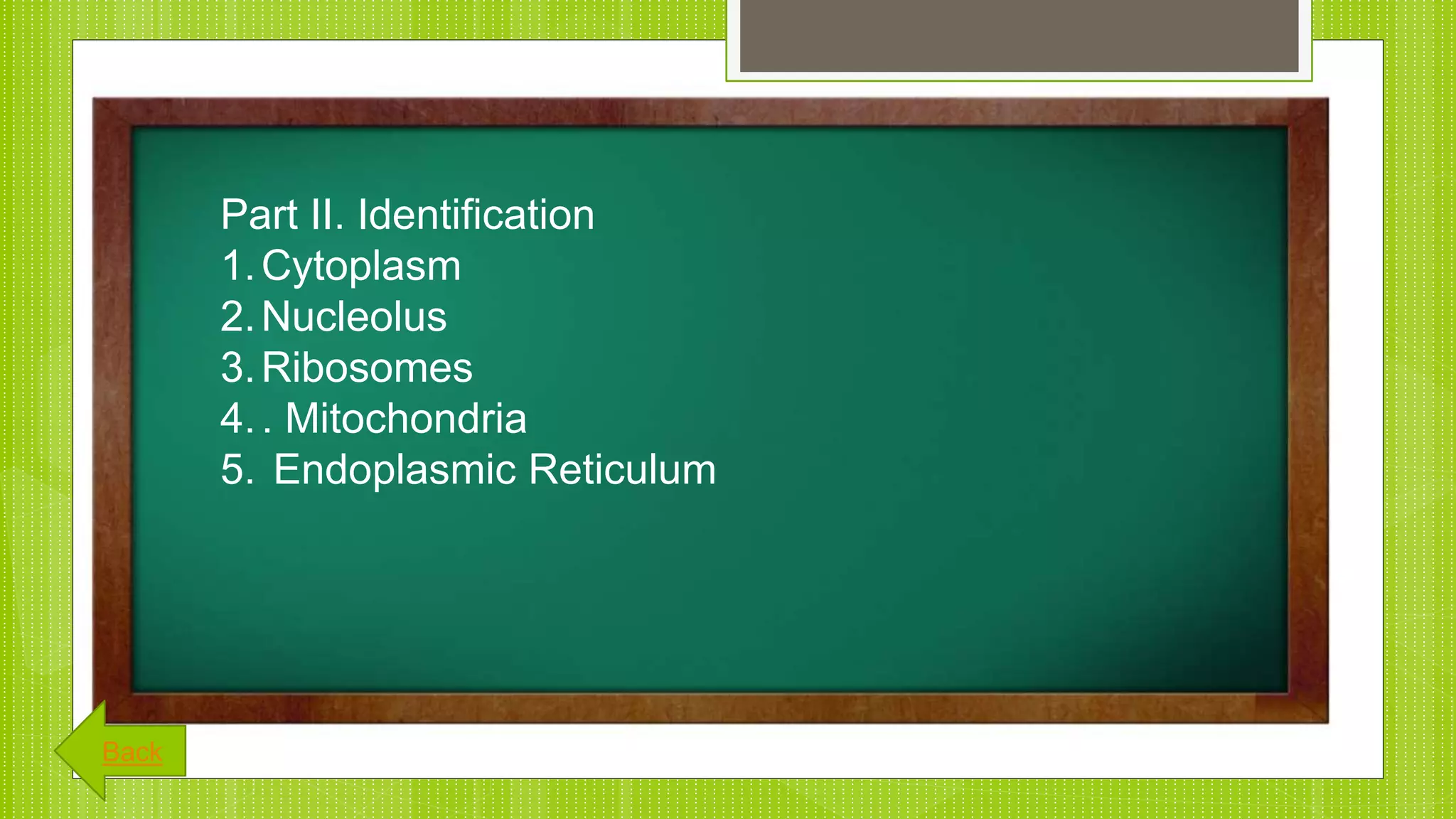 Plant and Animal Cells | PPTX