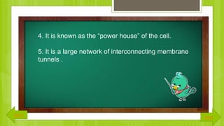 Plant and Animal Cells | PPTX