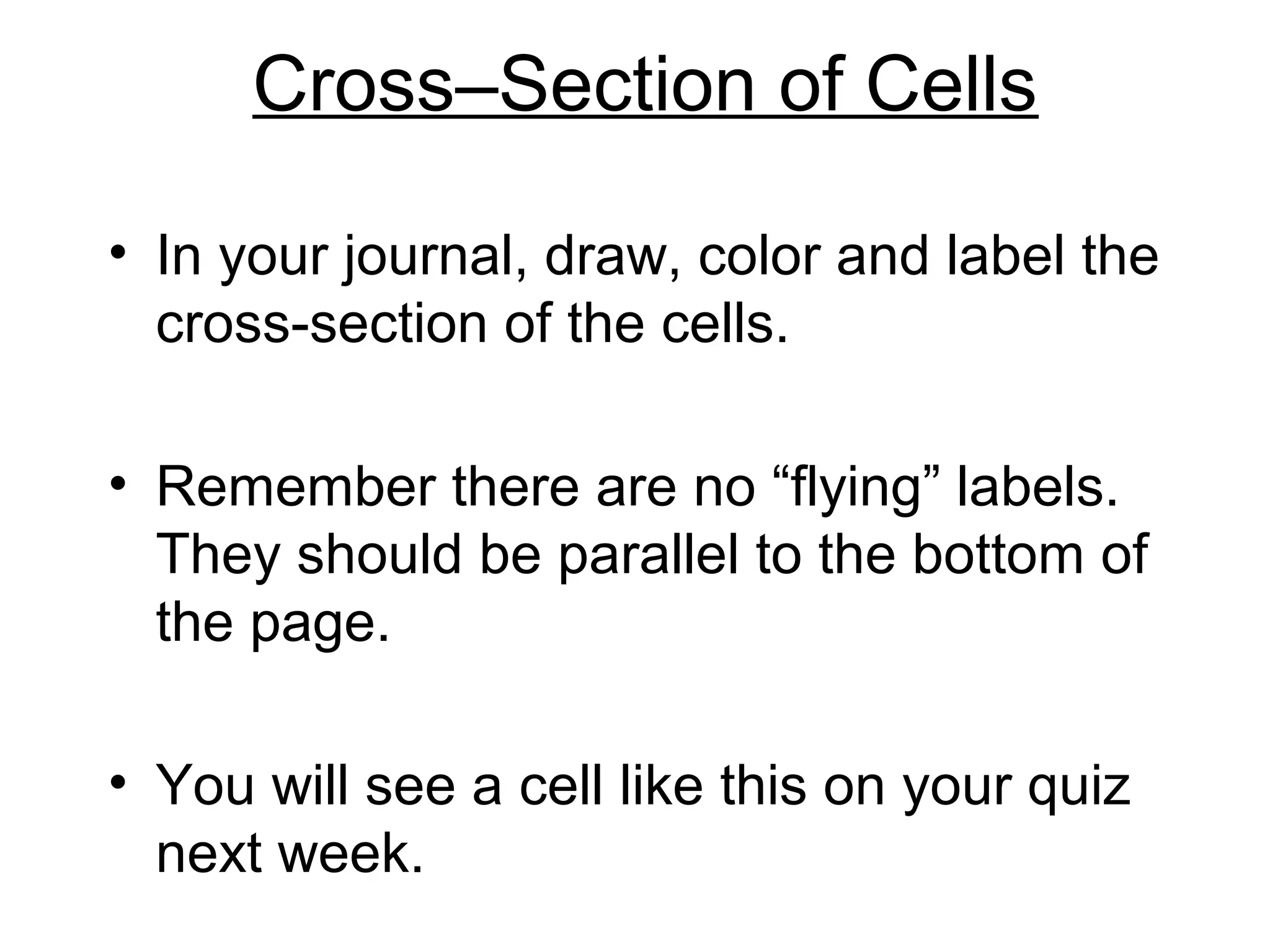 Cross-Section of Plant and Animal Cell | PPT