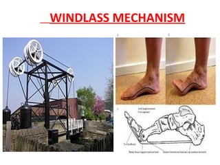 Heel Pain and Plantar Fasciitis | PPT