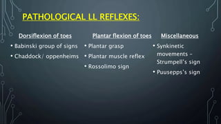 Plantar, babinski | PPTX