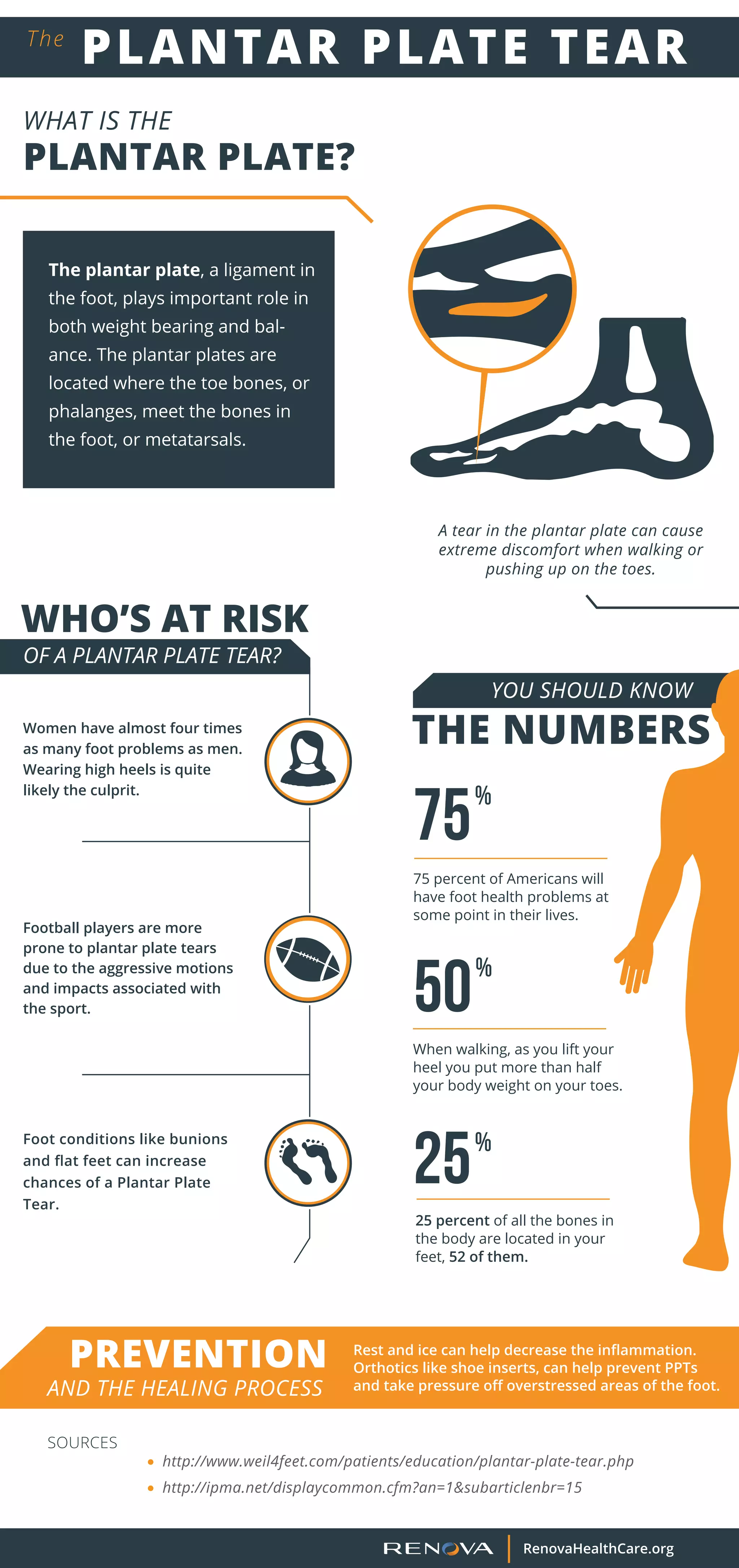 Infographic | The Plantar Plate Tear | PDF