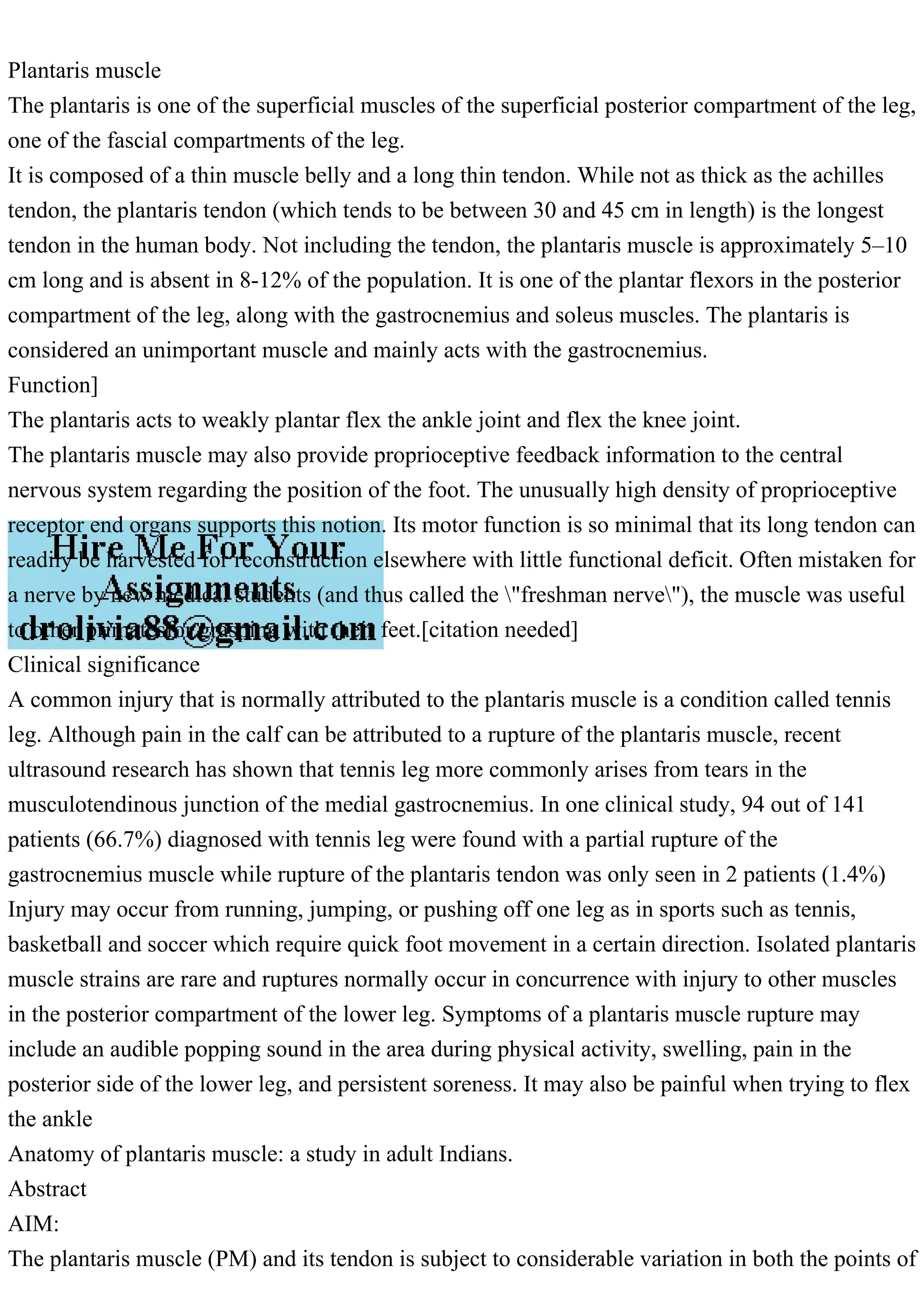 Plantaris muscleThe plantaris is one of the superficial muscles of.pdf