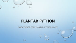 Plantar Python | PPTX