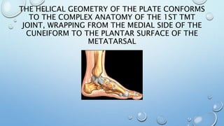 Plantar Python | PPTX