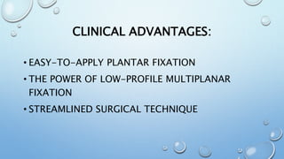 Plantar Python | PPT
