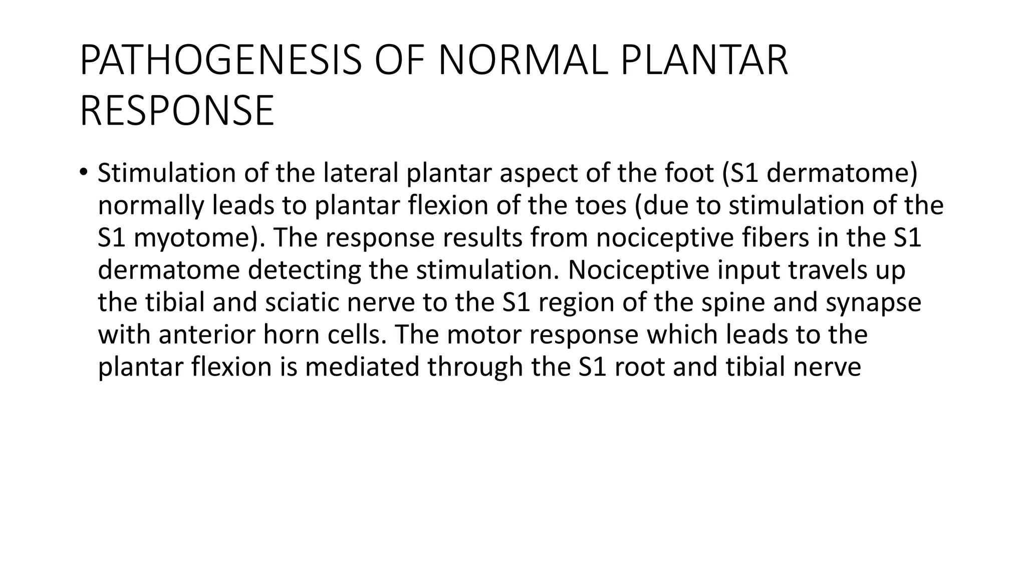 Plantar reflex | PPTX