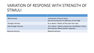 Plantar reflex | PPTX