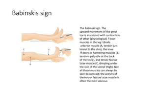 Plantar reflex | PPTX