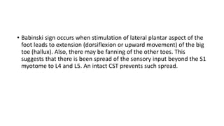 Plantar reflex | PPTX