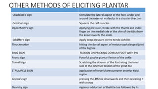 Plantar reflex | PPTX