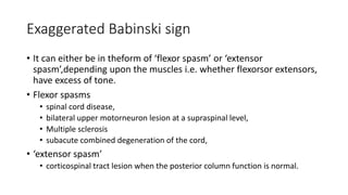 Plantar reflex | PPTX