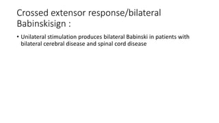 Plantar reflex | PPTX