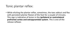 Plantar reflex | PPTX