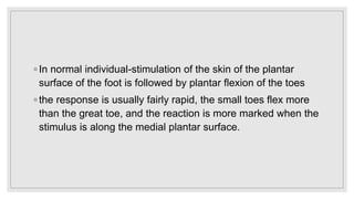 plantar reflex.pptx