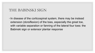 plantar reflex.pptx