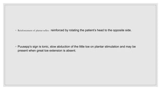 plantar reflex.pptx