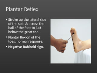 Plantar Reflexes and babinski sign for neurological patients | PPTX