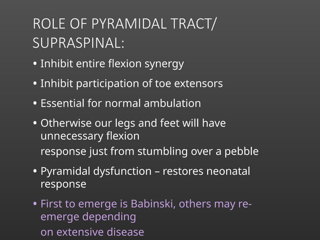 Plantar Reflexes and babinski sign for neurological patients | PPT