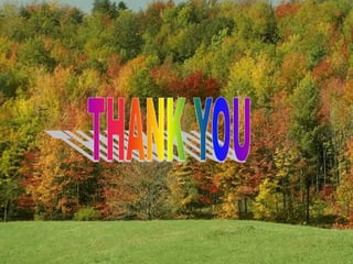 Plantar Reflexes and babinski sign for neurological patients | PPTX