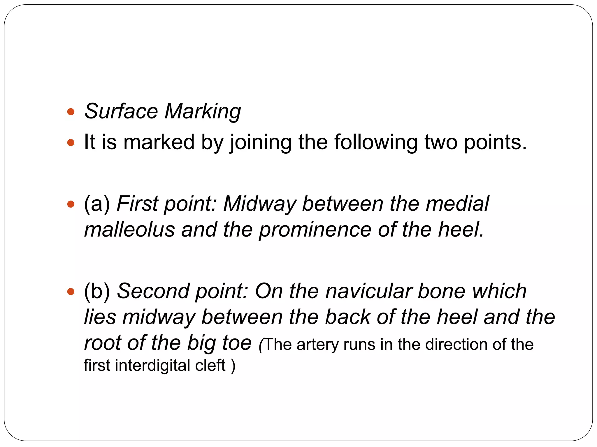 Plantar vessels and nerves | PPTX