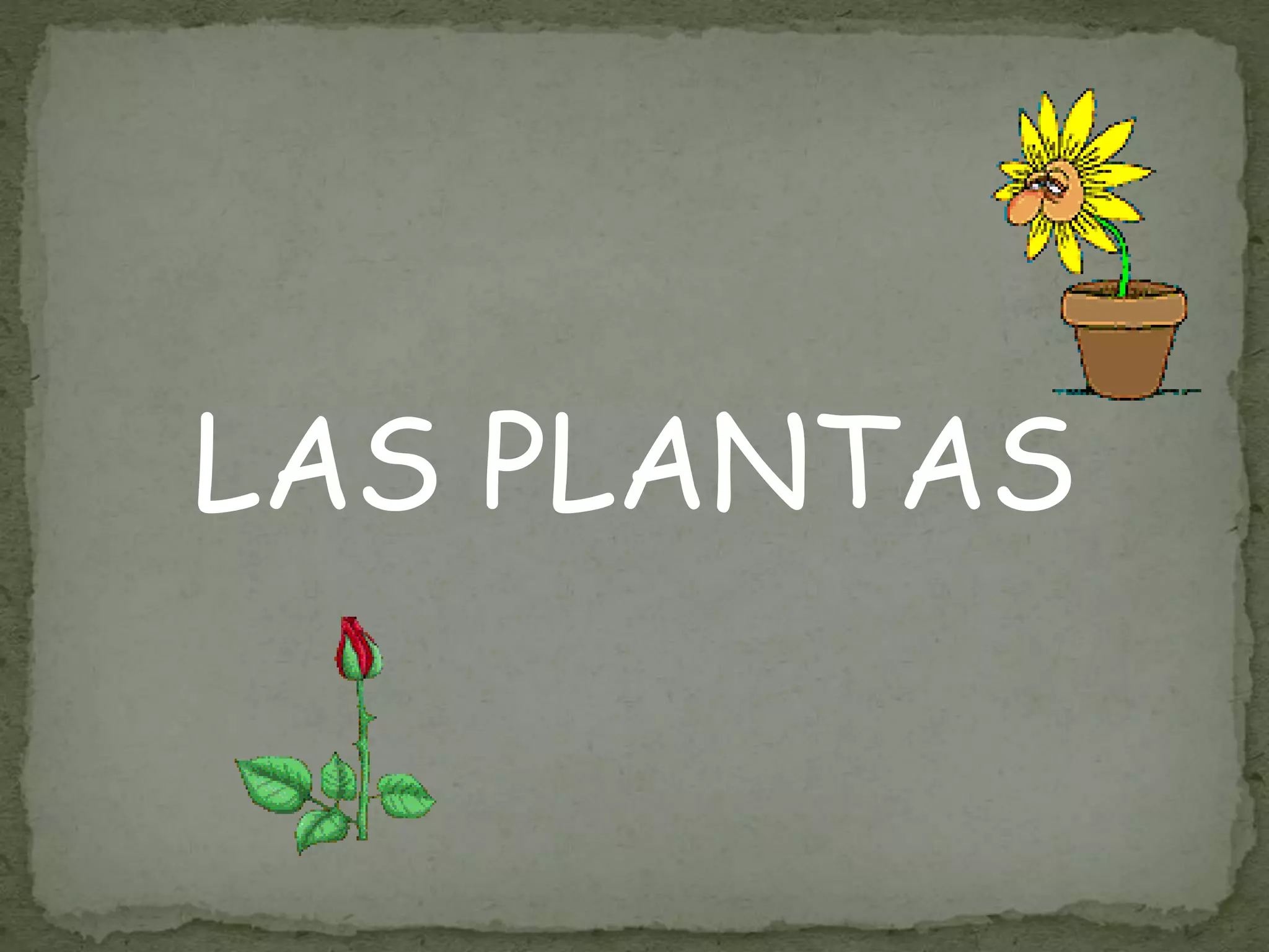 Las plantas | PPSX