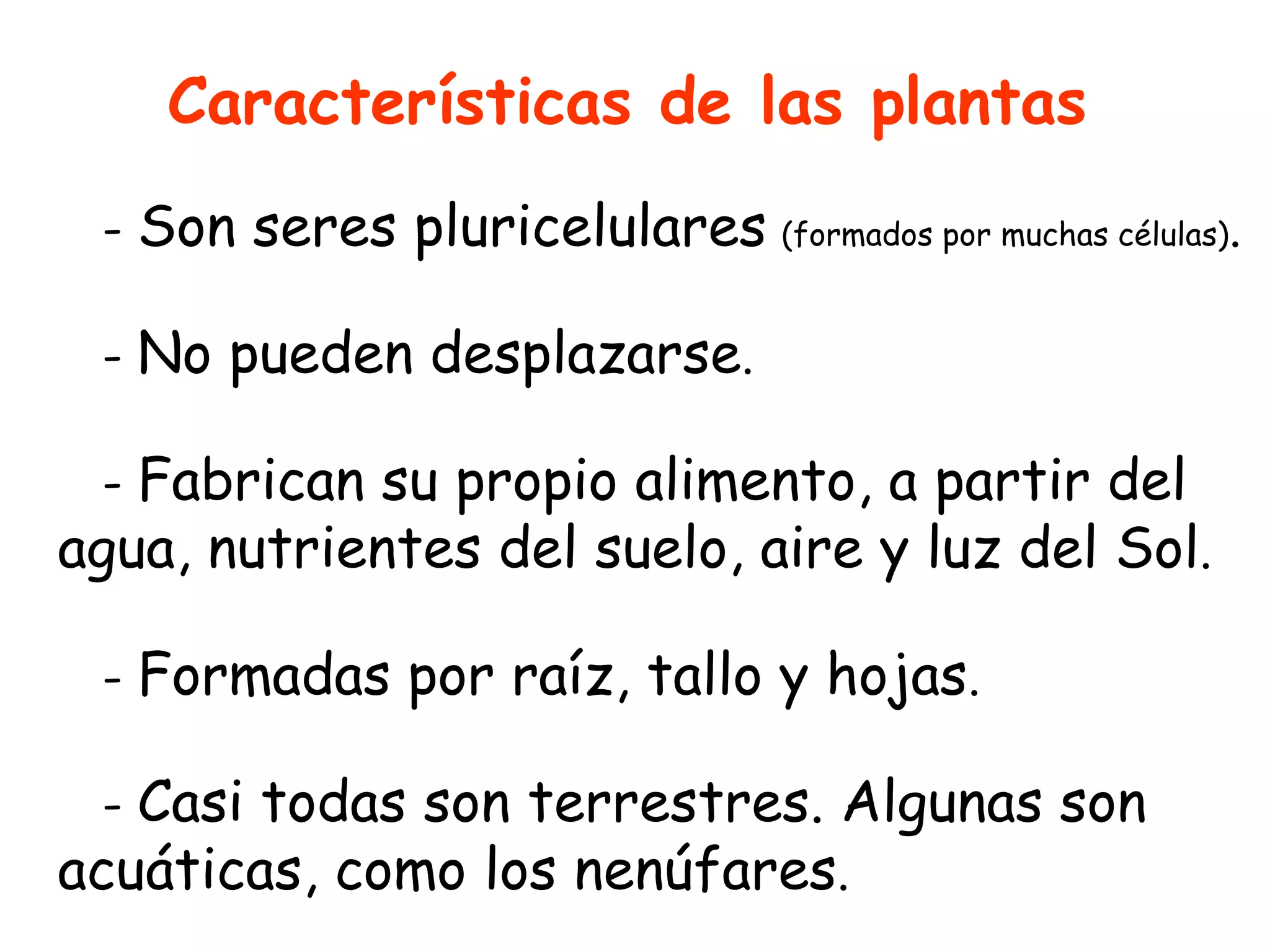 Las plantas | PPSX