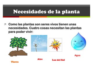 Plantas por Viviana Sánchez | PPT