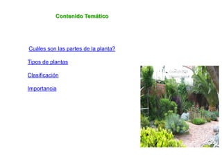 Plantas | PPTX