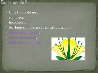 Plantas PT | PPTX