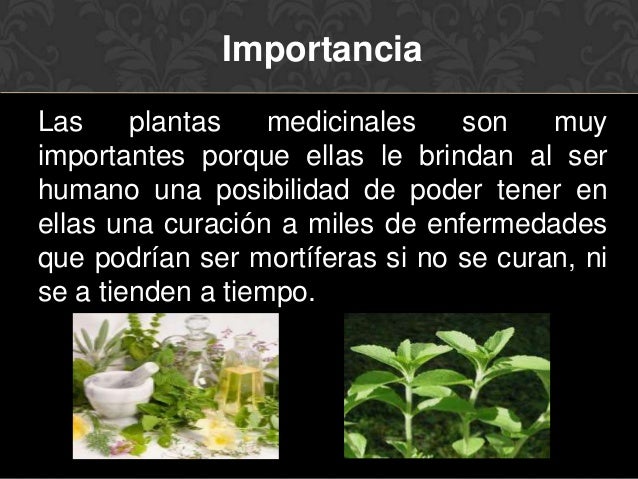 Plantas Medicinales