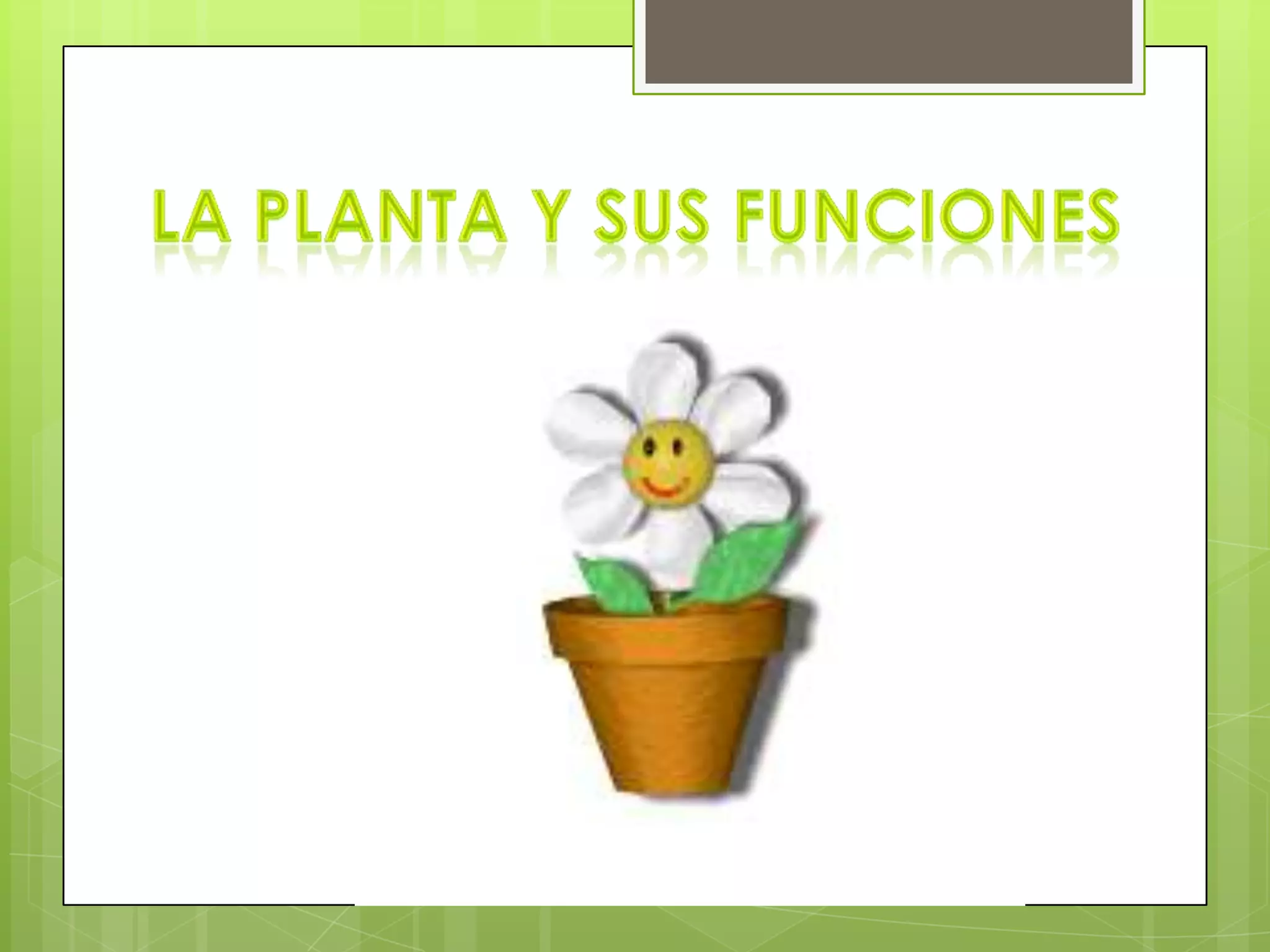 Las Plantas y sus funciones | PPTX