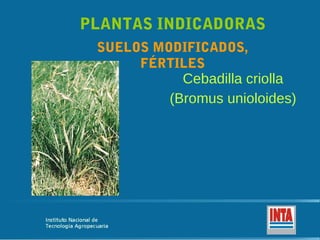 Plantas indicadoras - cordoba - INTA | PPT