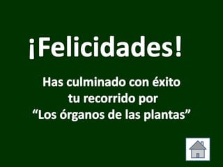 Plantas presentación interactiva | PPSX