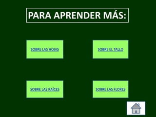 Plantas presentación interactiva | PPSX