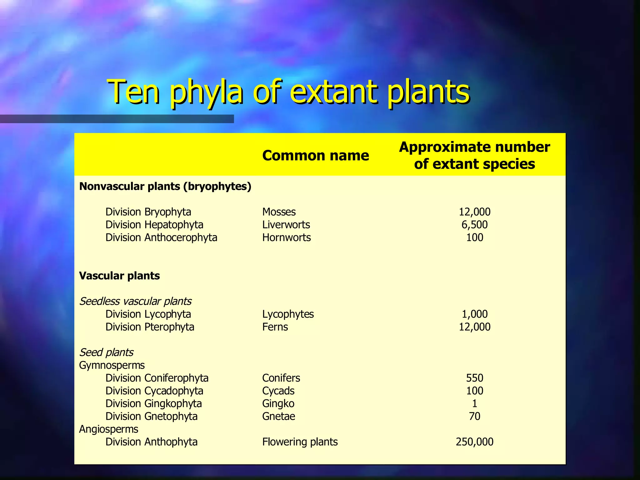 Plantas vasculares primitivas | PPT