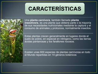 Plantas carnívoras por Janneth Caiza | PPT