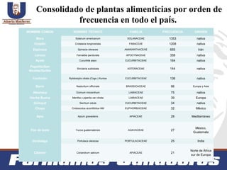 Plantas alimenticias meta análisis | PPT