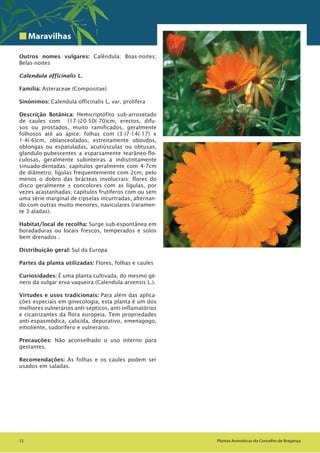 PLANTAS AROMÁTICAS MEDICINAIS.pdf