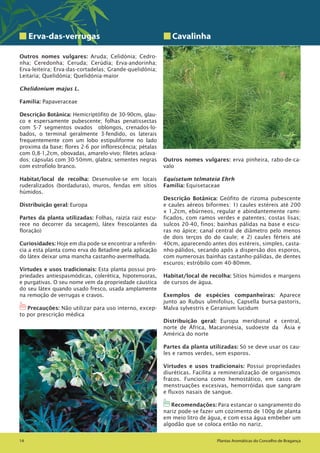 PLANTAS AROMÁTICAS MEDICINAIS.pdf