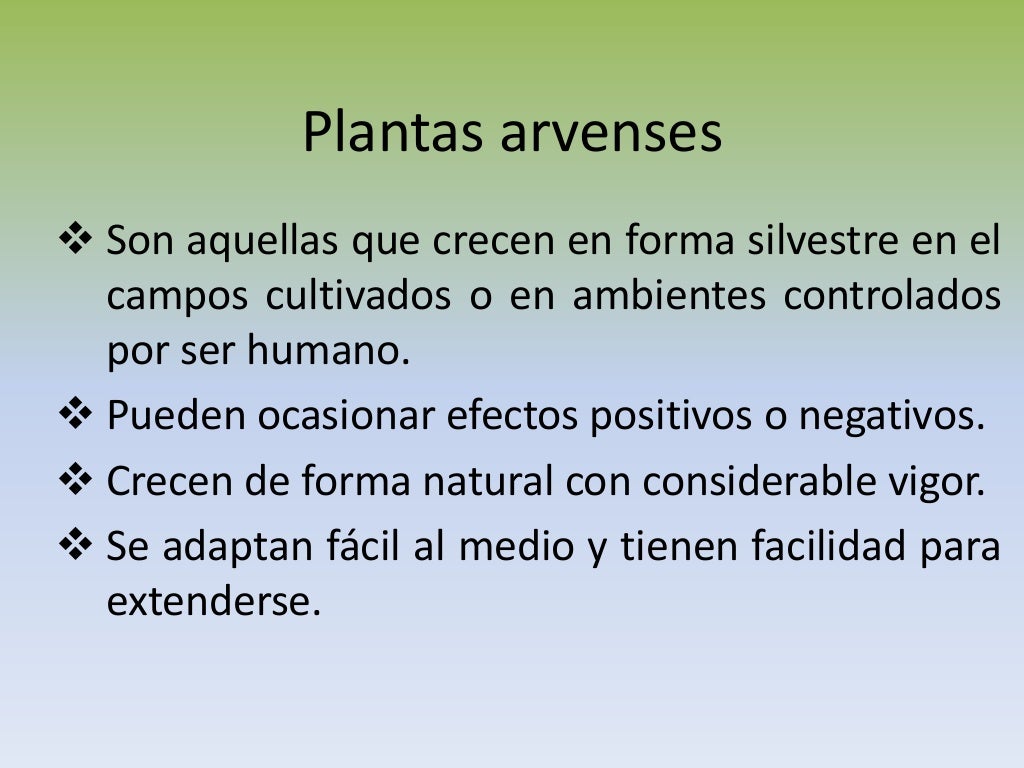 Plantas arvenses