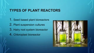 Plant as biotreactors | PPT