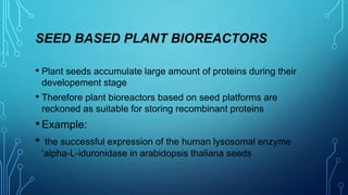 Plant as biotreactors | PPTX