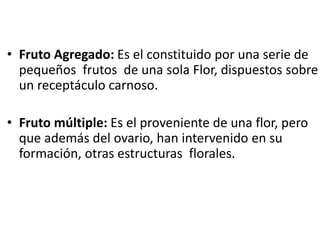 Plantas bloque 6 botanica | PPT
