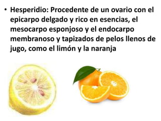 Plantas bloque 6 botanica | PPT